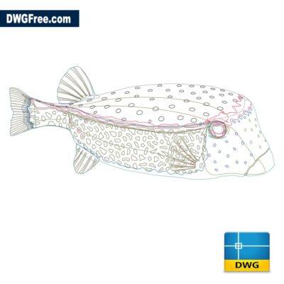 Fish DWG AutoCad
