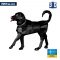 3D Dog DWG [ Drawing 2026 ] in AutoCAD FREE. DwgFree